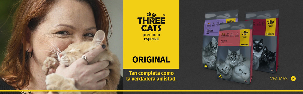 Three Cats – MundoCanino