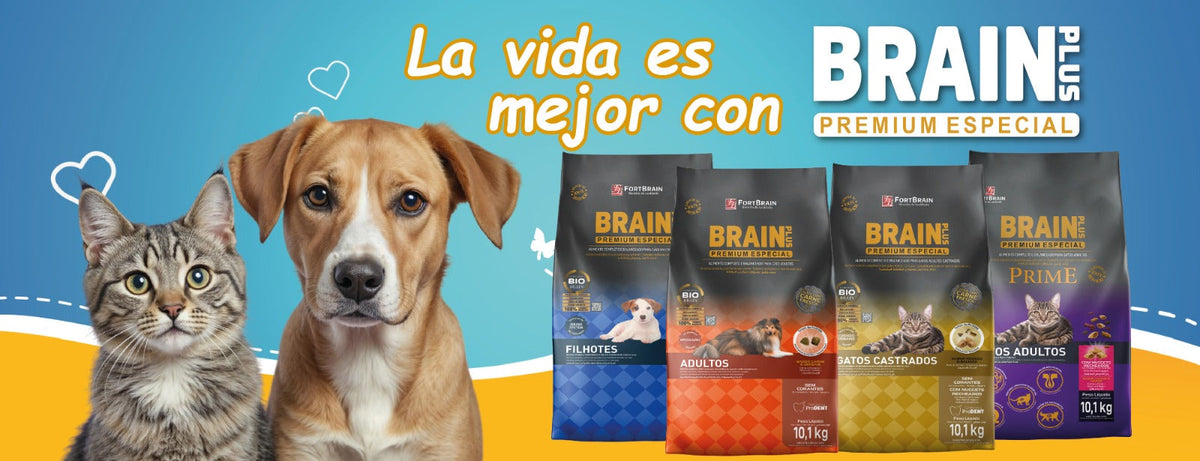 Brain Plus – MundoCanino