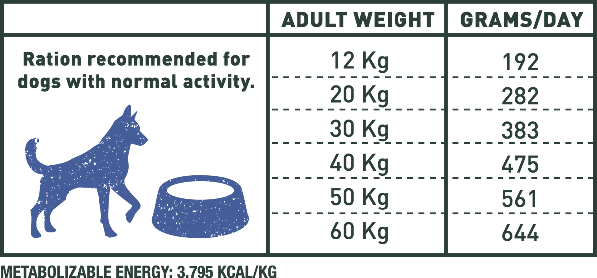 Bravery Grain Free Adulto Mediano y Grande 12Kg Arenque – MundoCanino