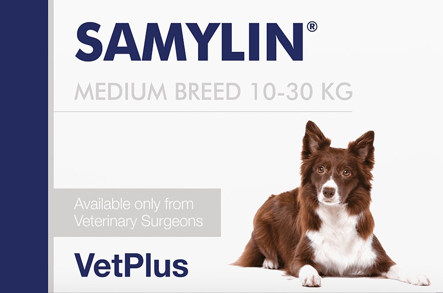 VetPlus Samylin 30comp. Razas Medianas (10 a 30Kg) – MundoCanino