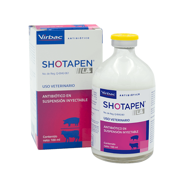 Shotapen Antibiotico en Suspension Inyectable 100ml – MundoCanino